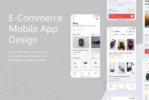 Amazon Like eCommerce Marketplace Development