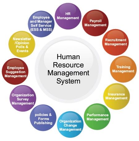 Human Resource Management Software Development - HRMS